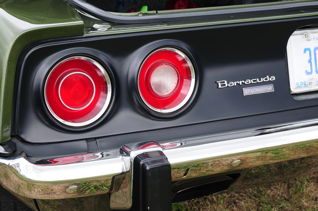 Ballot vote and car show voting software - Car show software